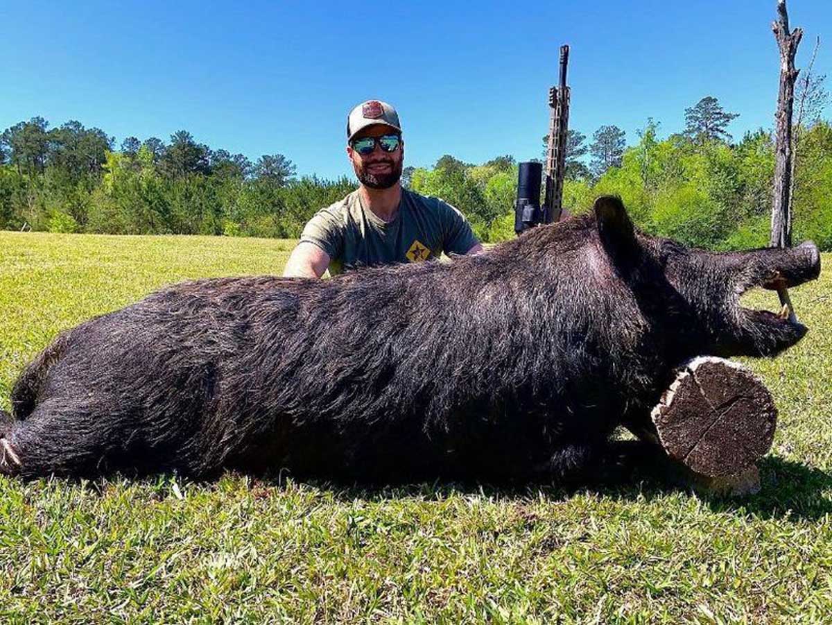 MIKE GILES: Harris harvests monster hog and helps turkeys and deer ...