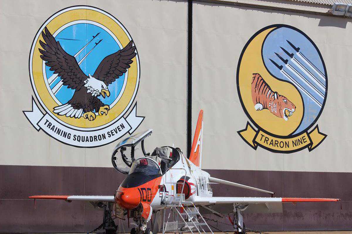 New fence planned to keep wild animals off NAS Meridian runways ...