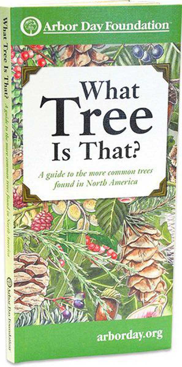 Tree identification book from the Arbor Day Foundation helps people ...