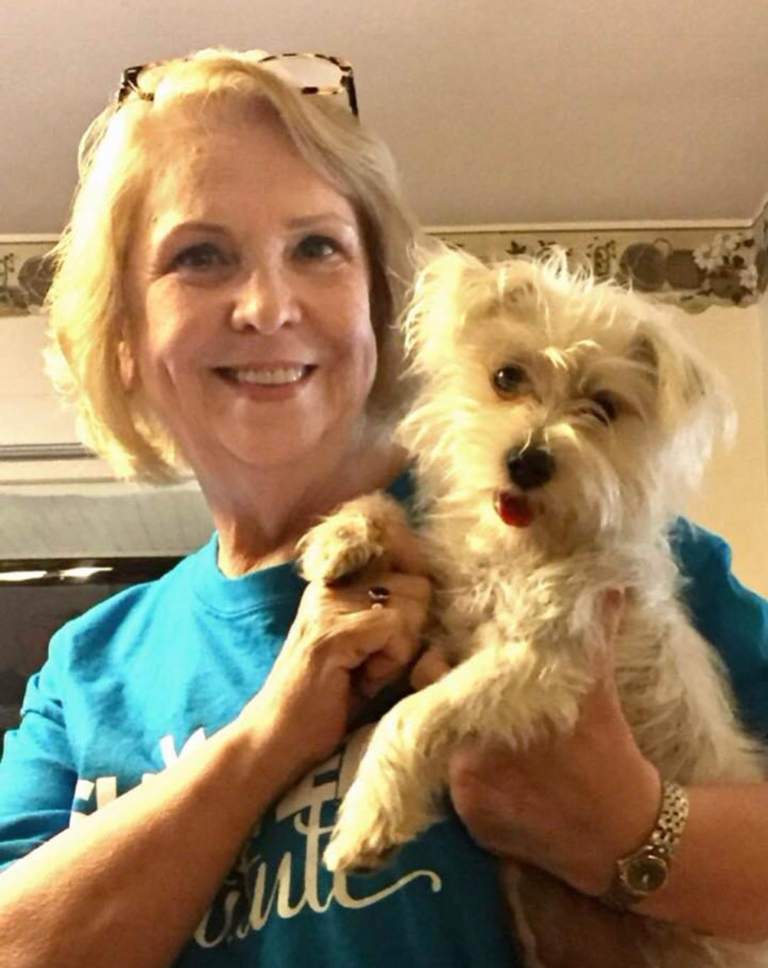 Dogs have taken over the world and it is really good | Meridian Star